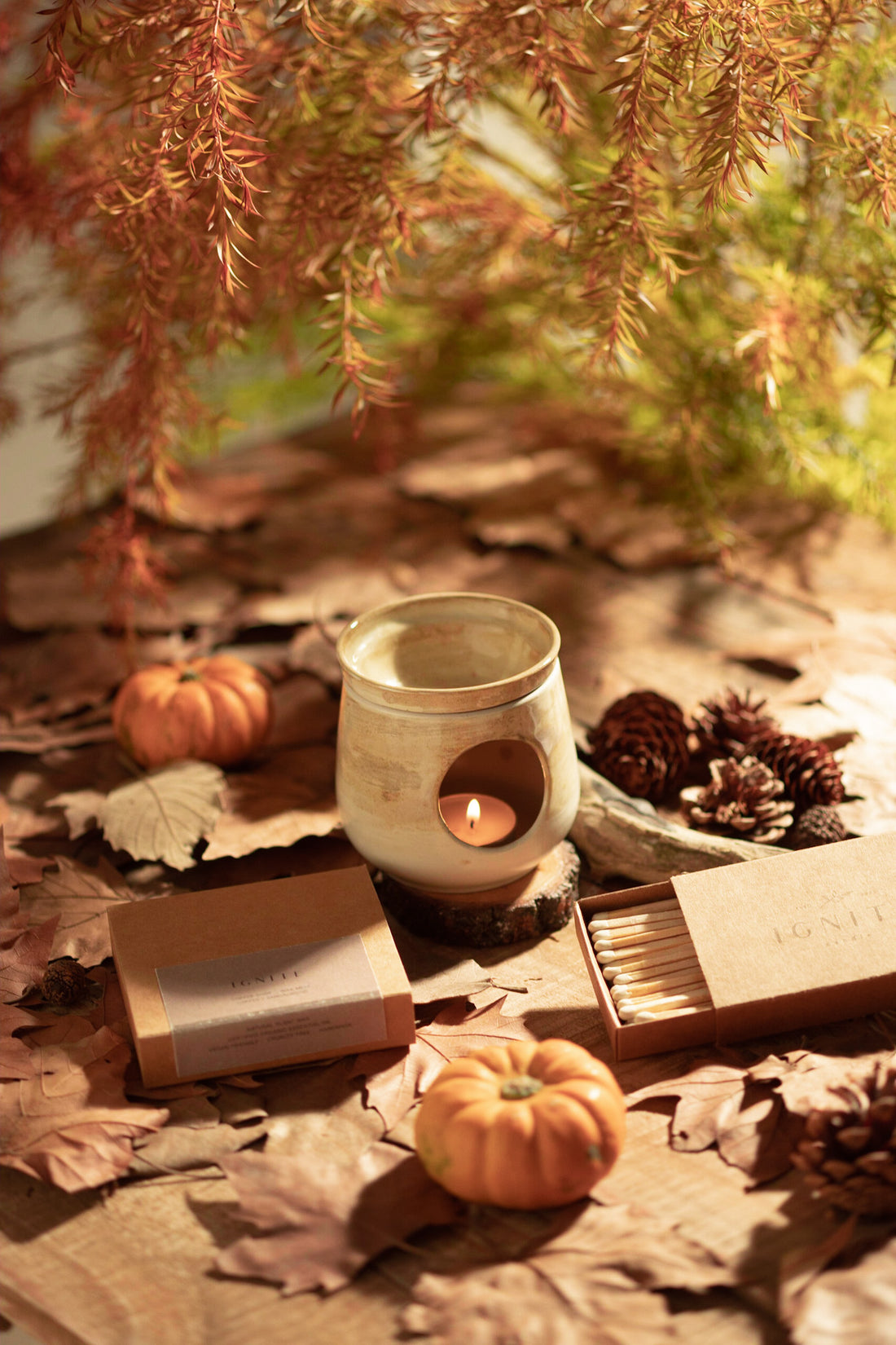 The most authentic natural aroma – Ignite candle Limited